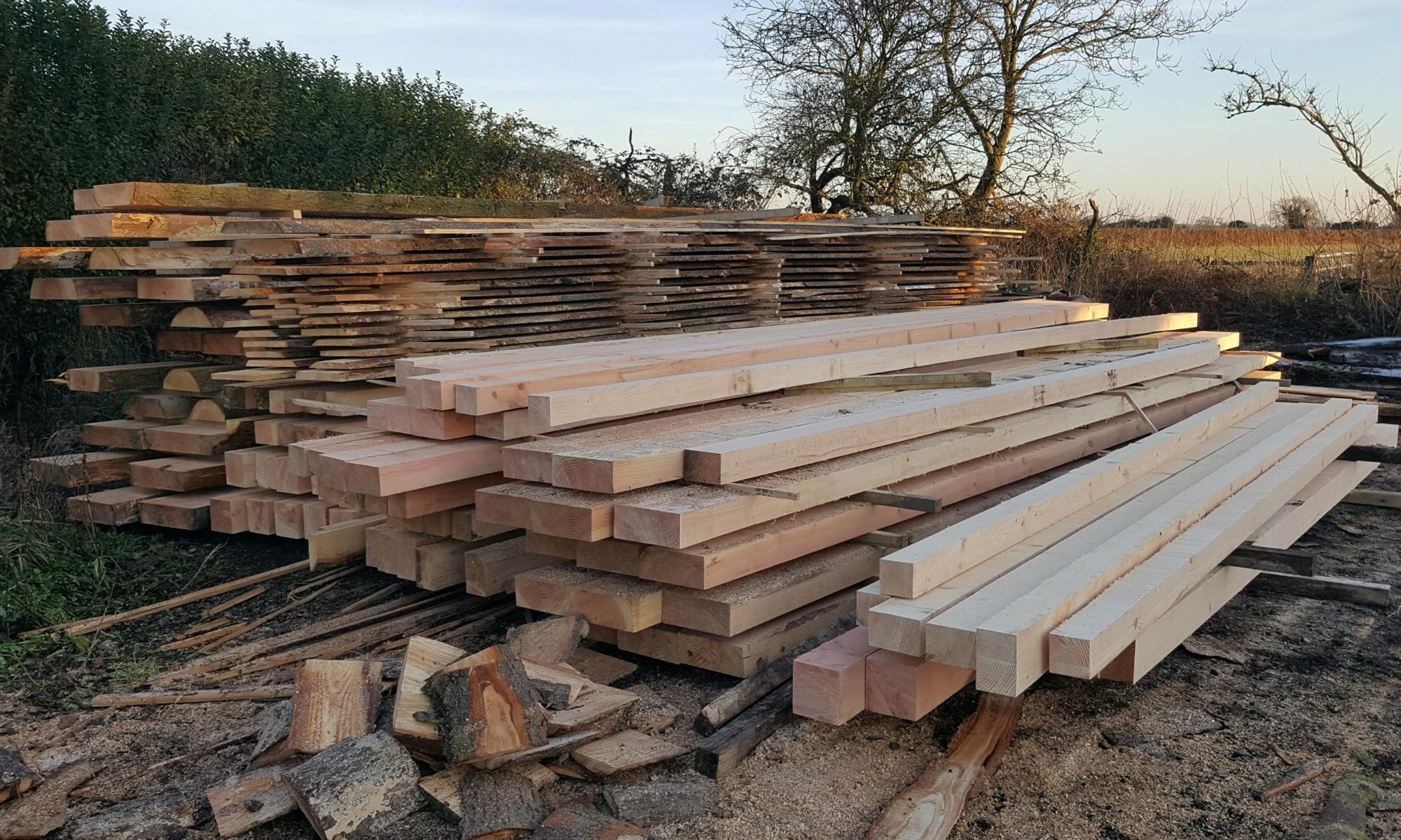 Warmhill-Timber – Warmhill Woodland